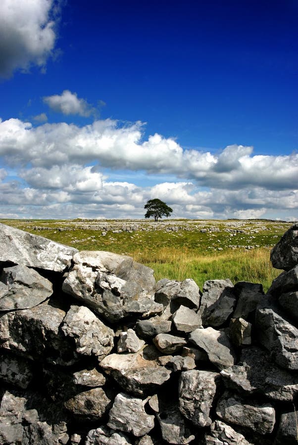 Natures Frame, Loan Tree Framed by a Limestone Wall Stock Photo - Image ...
