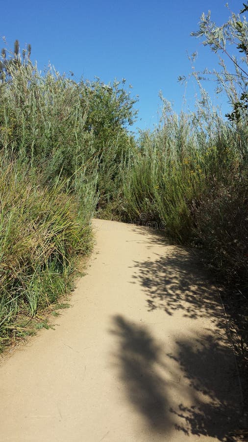 Natures Path stock image. Image of grass, trail, blue - 70637655