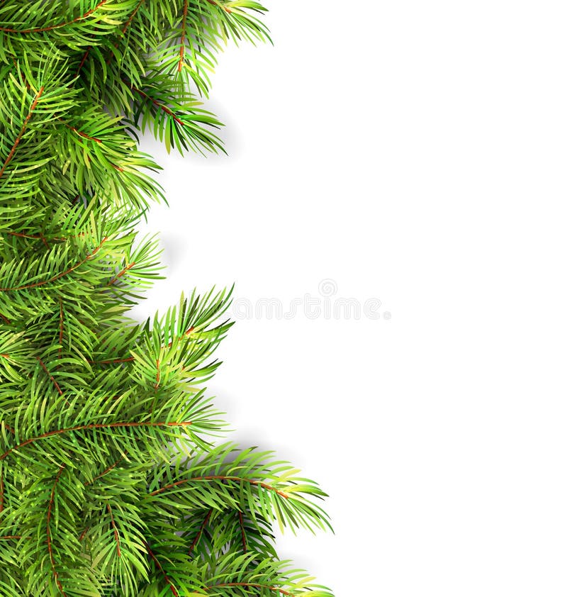 Naturlig ram med granris vektor illustrationer. Illustration av sörja ...