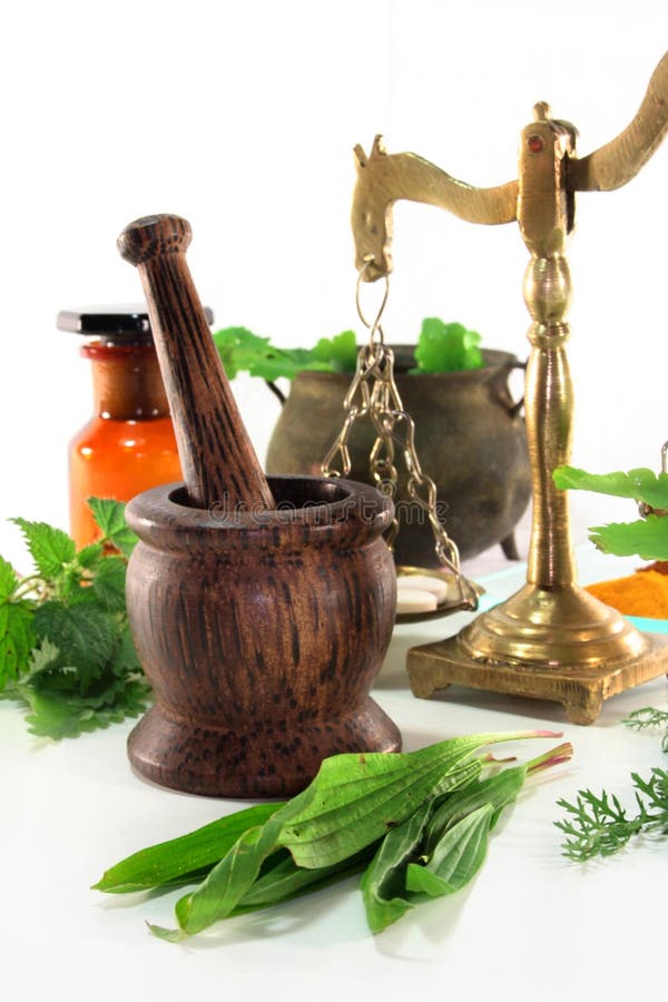 Naturopathy stock photo. Image of plant, nettle, manufacturing - 17006488