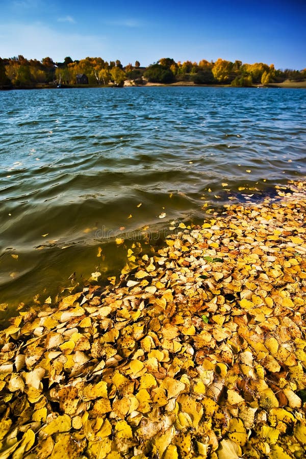 Naturpark-Wasserlandschaft stockbild. Bild von ruhig - 11034387