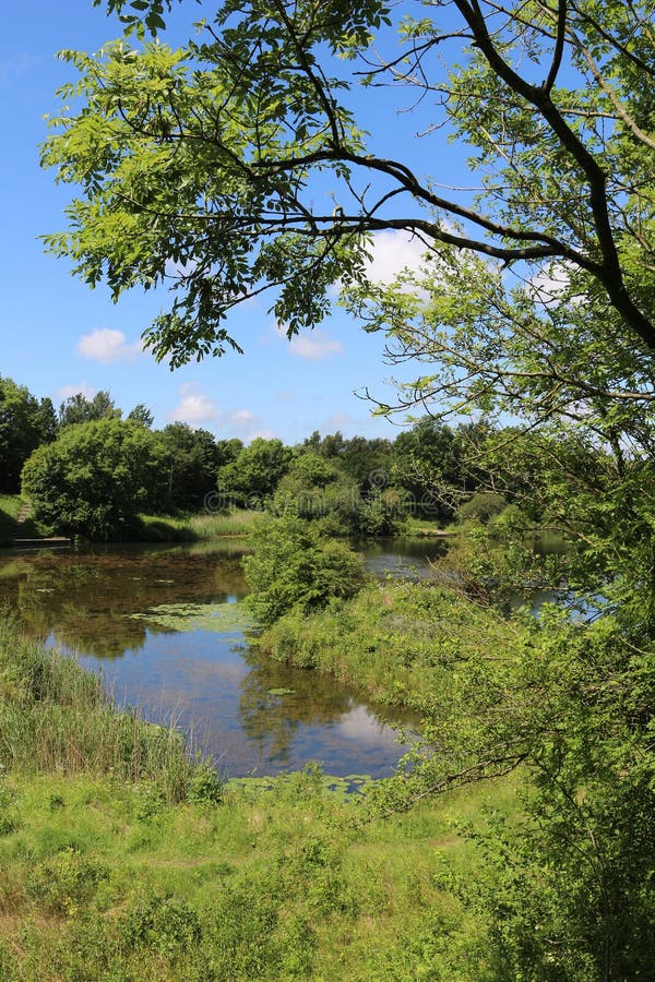 Naturreservat Longton Brickcroft, Lancashire Stockbild - Bild von ...