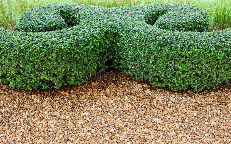 Natuurlijke omheining stock afbeelding. Image of haag - 20581823