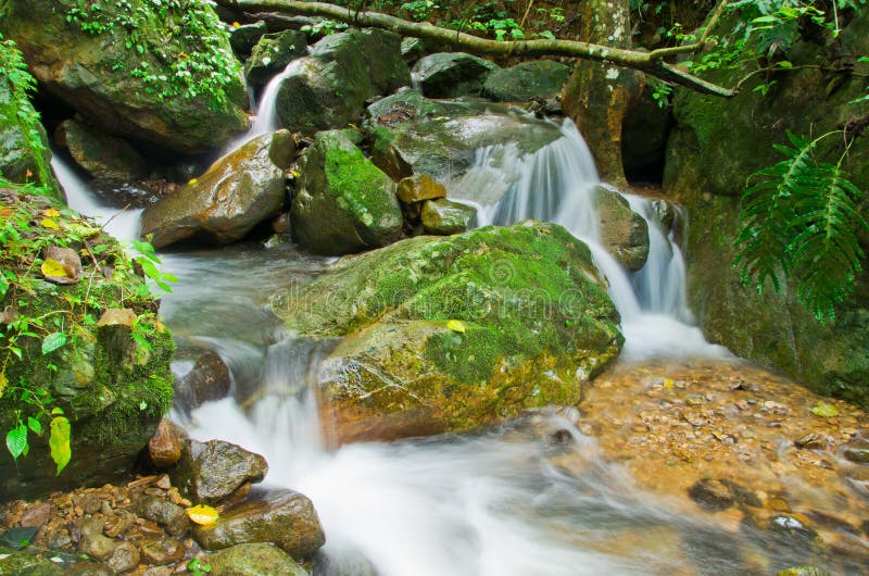 Zuivere Natuurlijke Waterbron Stock Afbeelding - Image of versheid ...