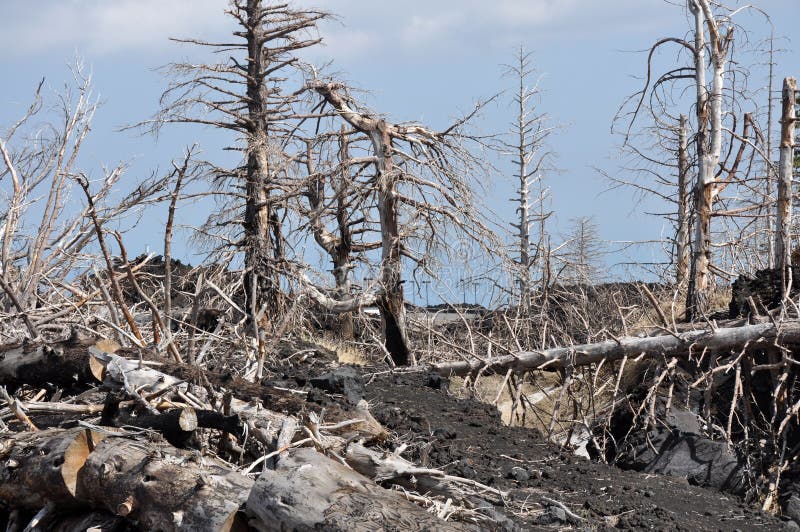 Natuurramp stock foto. Image of vuil, ramp, milieu, nave - 13794946
