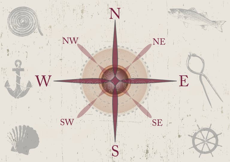 Compass Shell Stock Illustrations – 2,072 Compass Shell Stock ...