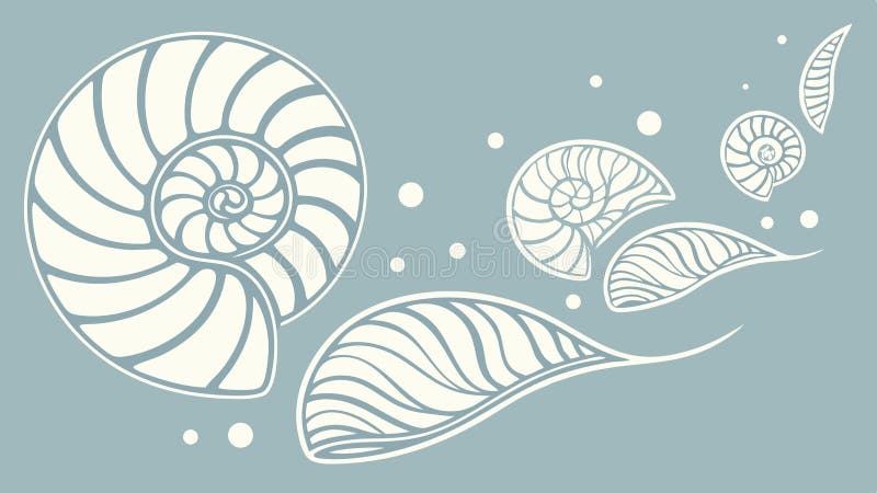 Nautical Conch Shells, Oceanic Patterns and Natural Beauty. Vector ...