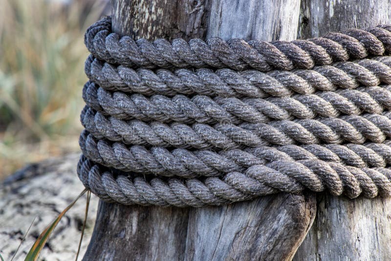 Nautical Rope Wrapped on Tree Stump Stock Image - Image of weathered ...