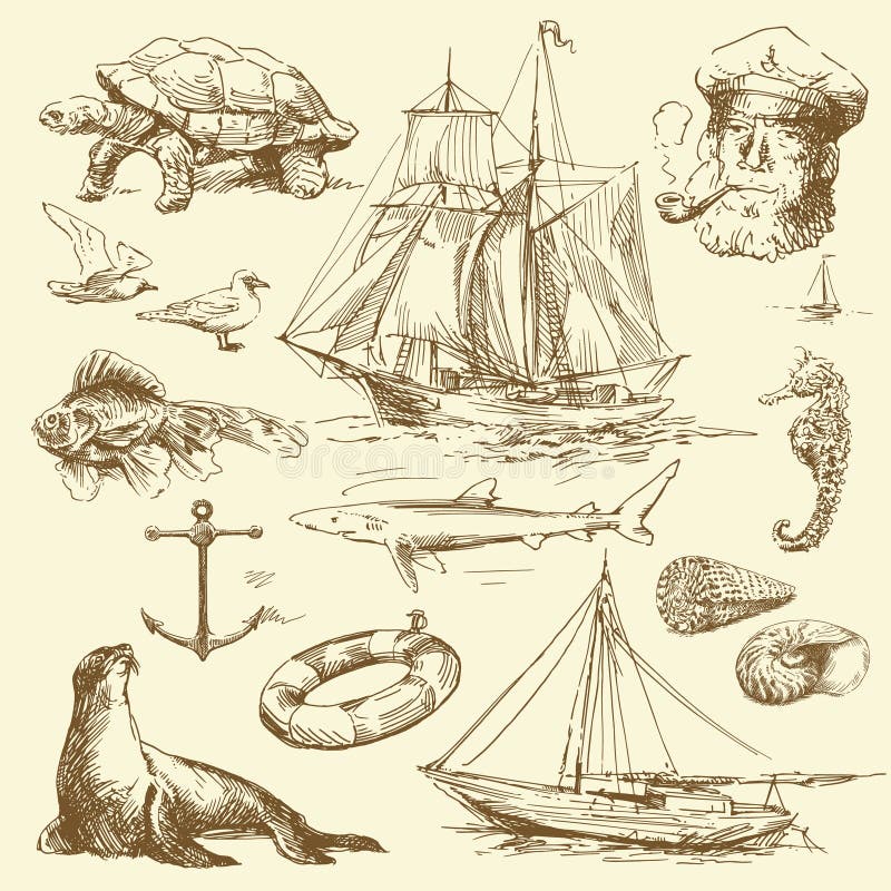 Nautical set stock vector. Illustration of turtle, decoration - 22925614