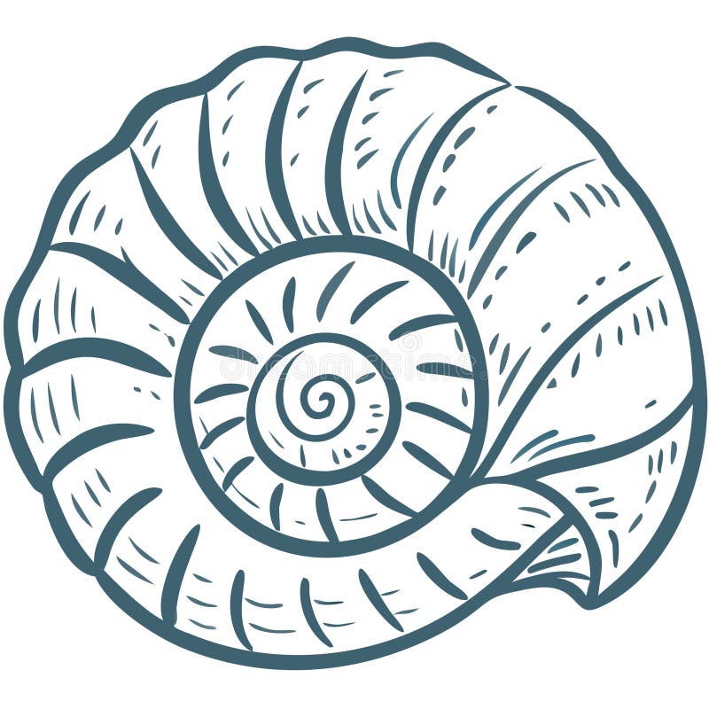 Nautical Spiral Shell Illustration Sea-Themed Decorative Vector Art ...