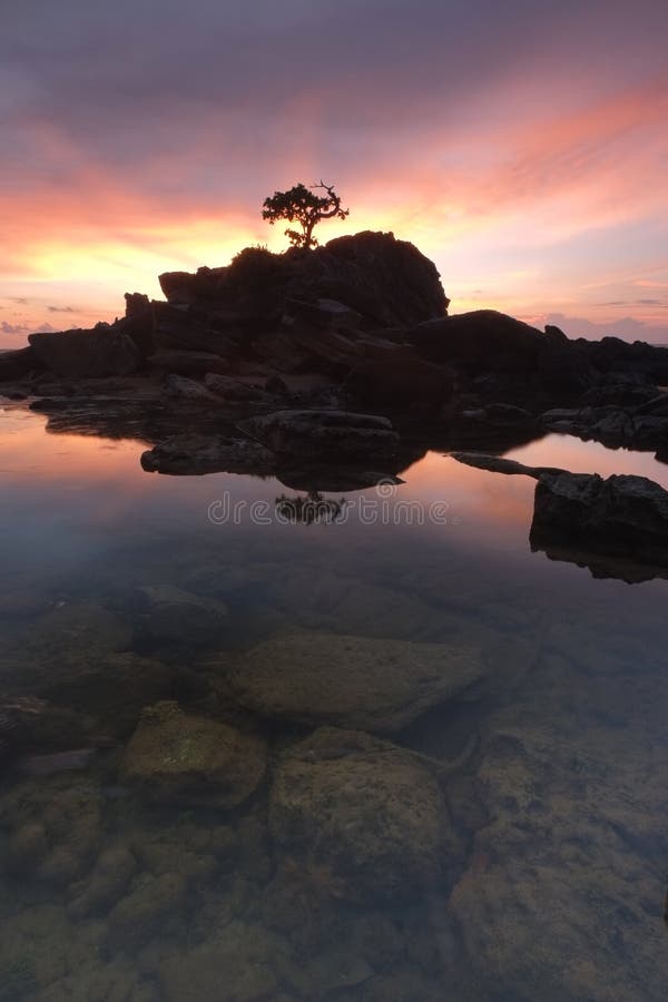 Isolated Tree Long Exposure Labuan Island Stock Image - Image of calm ...