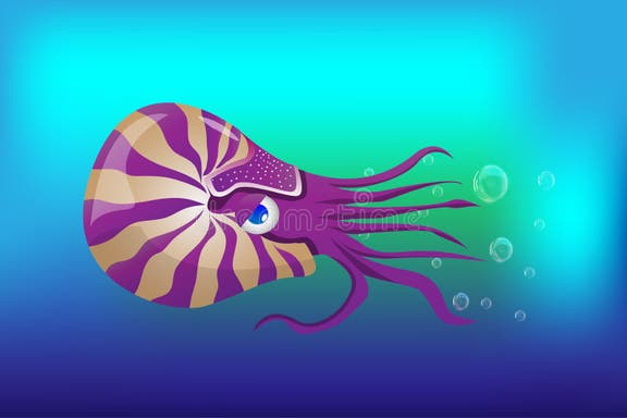 Nautilus stock illustration. Illustration of cartoon - 28948982