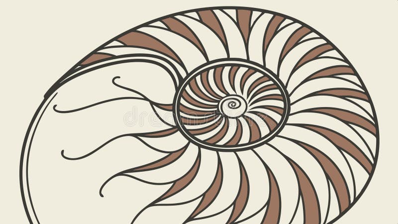 Nautilus Shell Cross Section, Marine Biology, Natural Patterns and ...