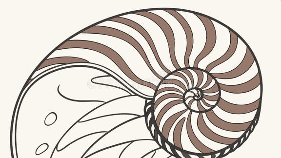 Nautilus Shell, Fibonacci Sequence, Natural Geometry and Seashell Pattern, Spiral Shell Vector ...