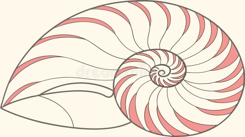 Nautilus Shell, Geometric and Natural Beauty, Vector Design Generative ...