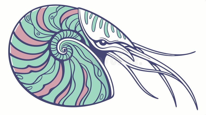 Nautilus Shell Illustration, Fibonacci Curve and Natural Geometry ...