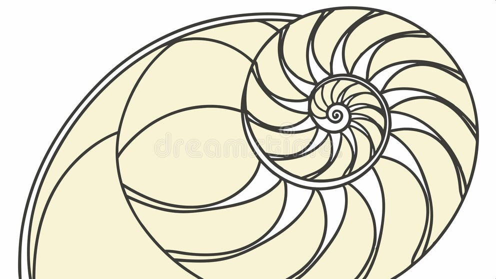 Nautilus Shell Illustration, Fibonacci Sequence Natural Geometry Vector Design Generative AI ...