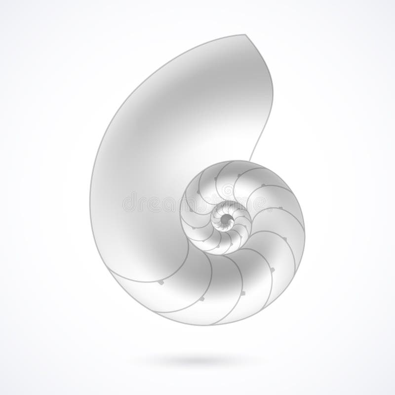 Nautilus Shell Stock Illustrations – 10,296 Nautilus Shell Stock ... Nautilus Shell Stock Illustrations – 10,296 Nautilus Shell Stock ...
