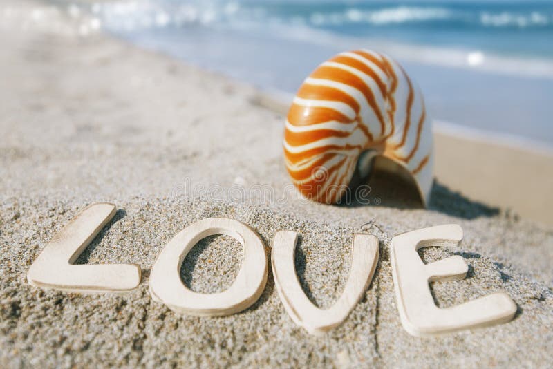 Shell Love Heart stock photo. Image of vacation, heart - 7799914