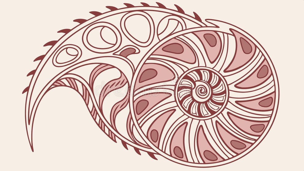 Nautilus Shell Mandala, Spiral Pattern, Nature Geometry Vector Design ...
