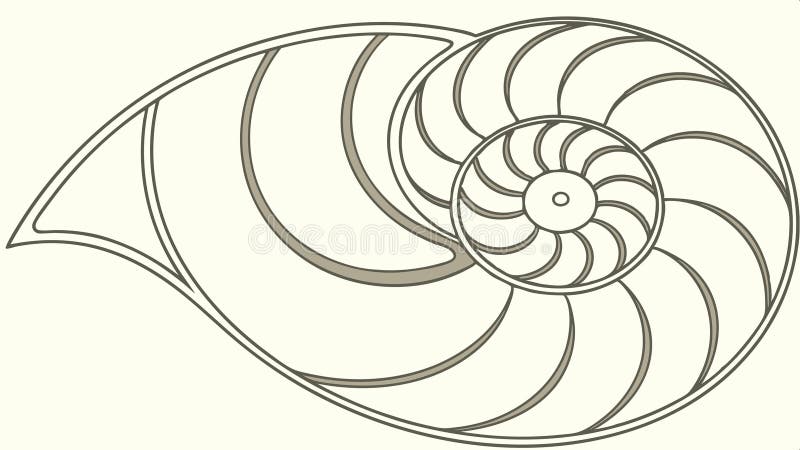 Nautilus Shell Outline, Elegant Shape and Natural Geometry Vector ...
