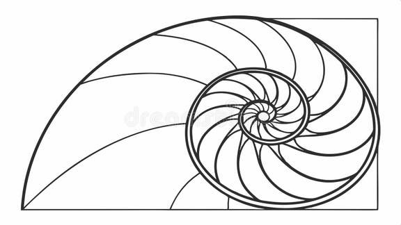 Nautilus Shell Outline, Nature and Spiral Design Element. Vector Design ...