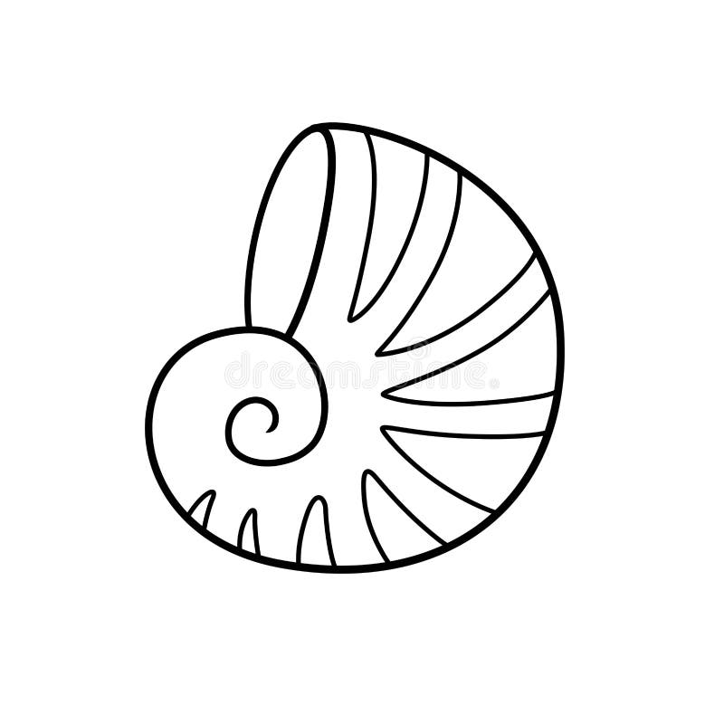 Nautilus Shell Stock Illustrations – 11,537 Nautilus Shell Stock ...