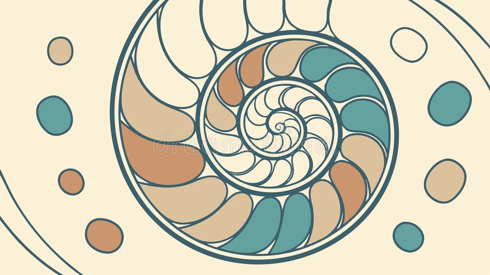 Nautilus Shell Pattern, Geometric and Elegant Design, Vector Design ...
