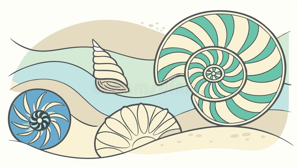 Nautilus Shell Pattern, Spiral Design, Fibonacci Sequence and Natural Geometry, Spiral Shell ...