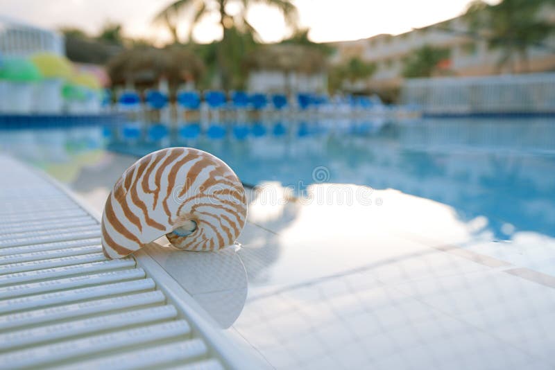 Nautilus Shell at Resort Swimming Pool Edg Stock Image - Image of ...