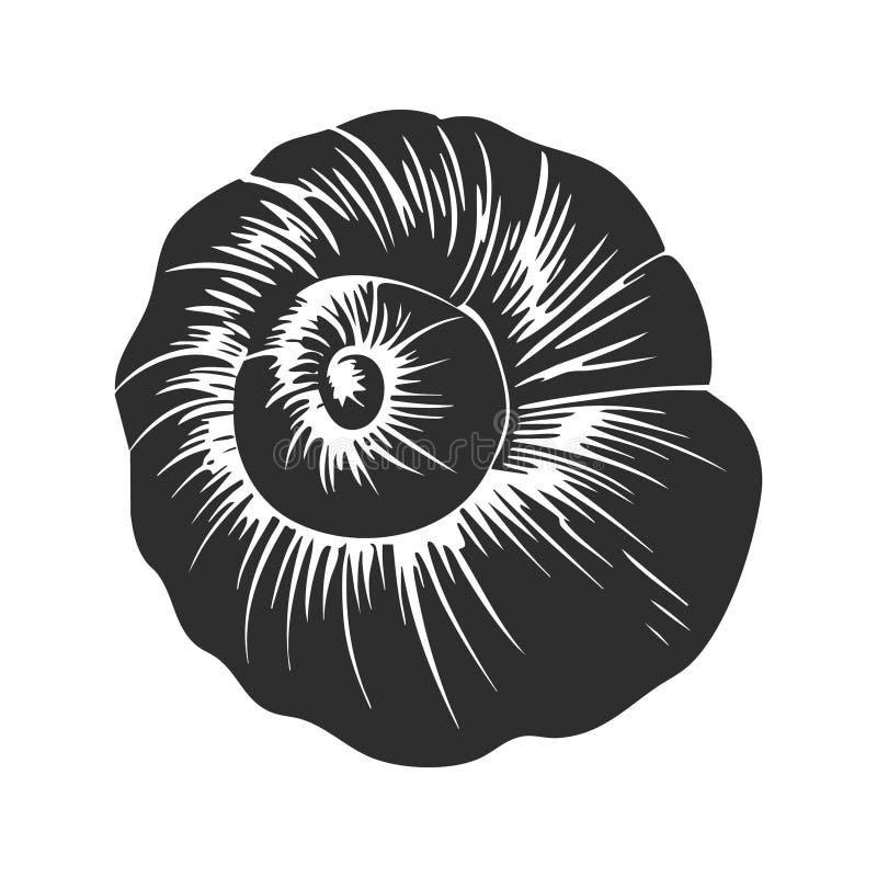 Nautilus Shell Silhouette Illustration. Marine Life and Natural ...