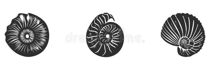 Nautilus Shell Silhouette Set. Marine Fossil Patterns and Natural ...