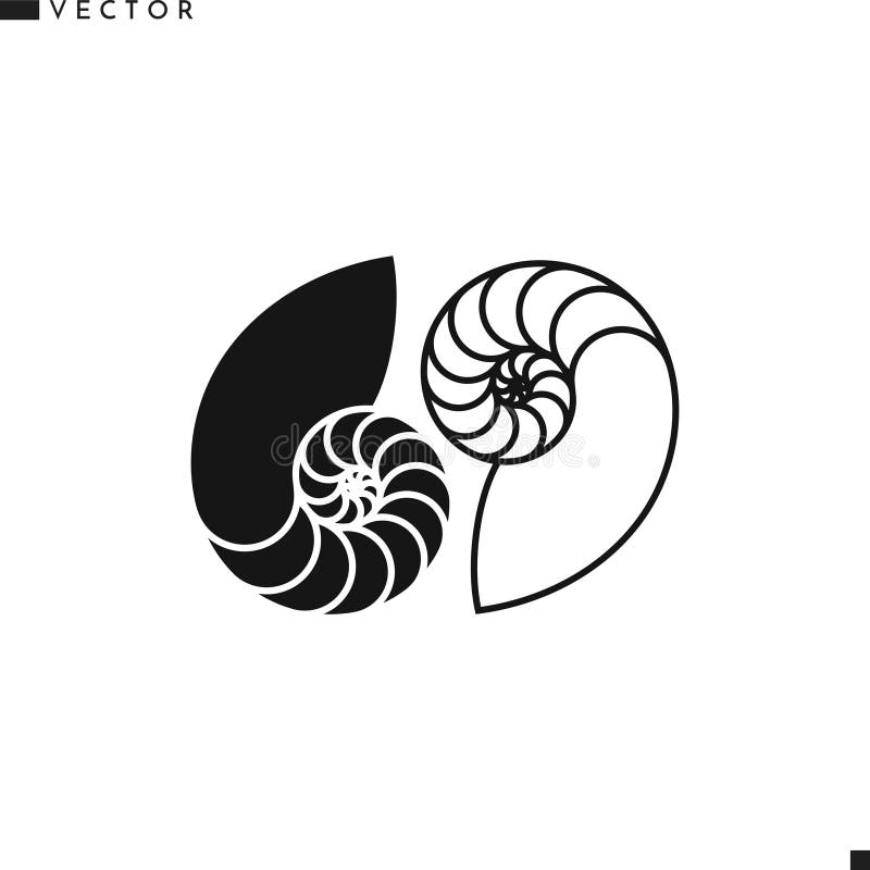 Nautilus Shell Stock Illustrations – 10,367 Nautilus Shell Stock ...