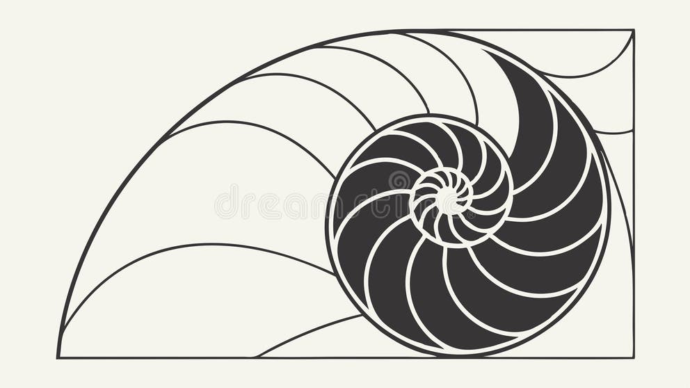 Nautilus Shell Spiral. Fibonacci Sequence in Nature Vector Art, Vector Design Generative AI ...