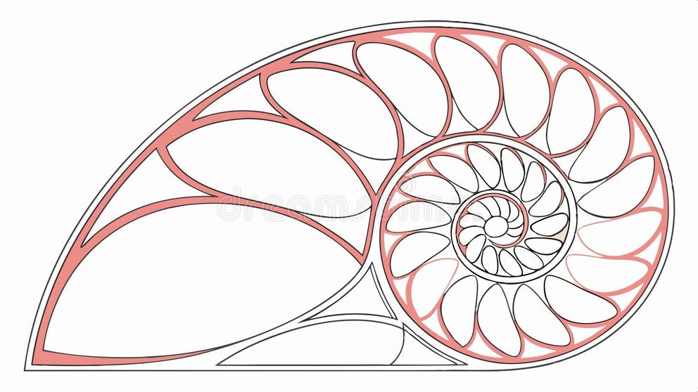 Nautilus Shell Spiral, Fibonacci Sequence Pattern Vector Design Generative AI Stock Vector ...