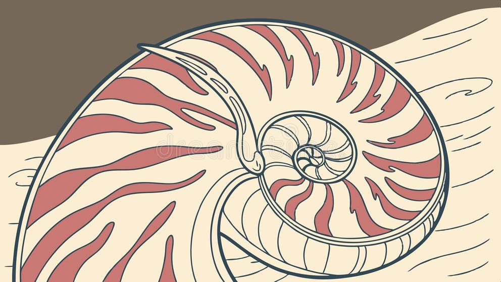 Nautilus Shell Spiral, Natural Pattern and Fibonacci Sequence Vector Design Generative AI Stock ...