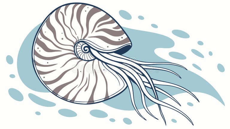 Nautilus Shell with Water Splashes, Symbolizing Ocean and Ancient Life ...