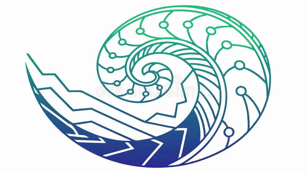 Nautilus Shell Wave Design, Ocean and Nature S Spiral Patterns Vector ...