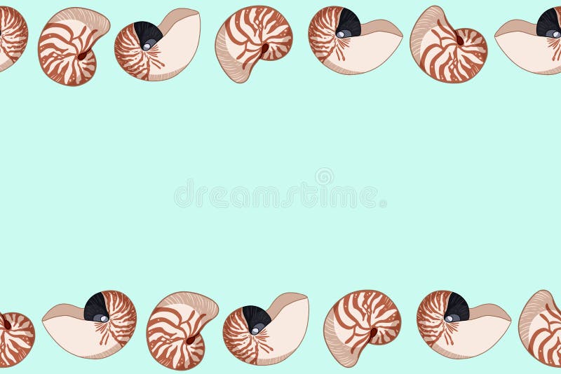 Nautilus Shells Colorful Doodles Seamless Pattern. Background Template ...