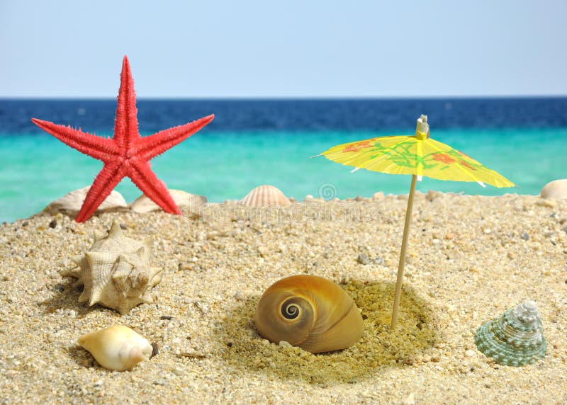 Nautilus Under Sun Umbrela Shadow Stock Image - Image of leisure, beach ...