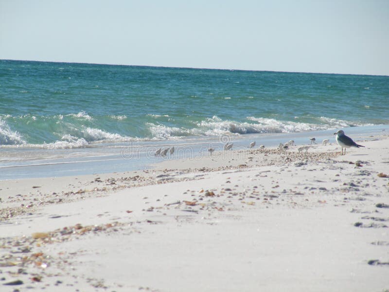 Navarre Beach stock image. Image of navarre, shells, blue - 44740665
