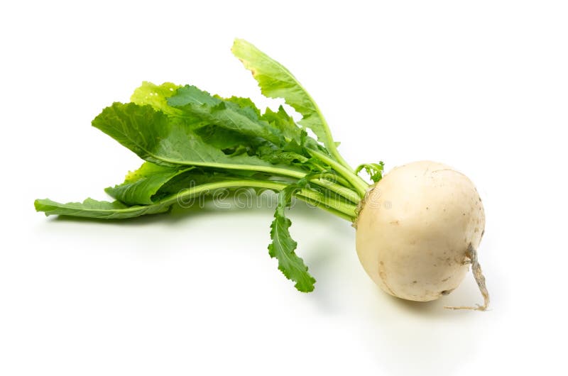 Navet photo stock. Image du cuisinier, navet, santé, sain - 25003696