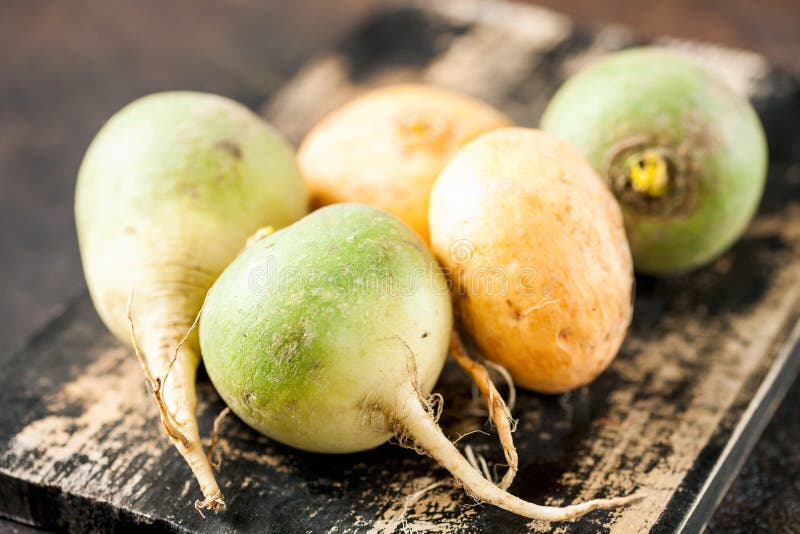 Navet vert image stock. Image du salade, potage, fond - 10891893