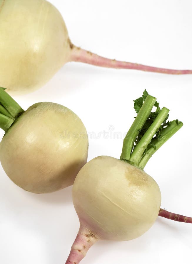 Navet stock image. Image of food, brassica, rapa, studio - 171234811