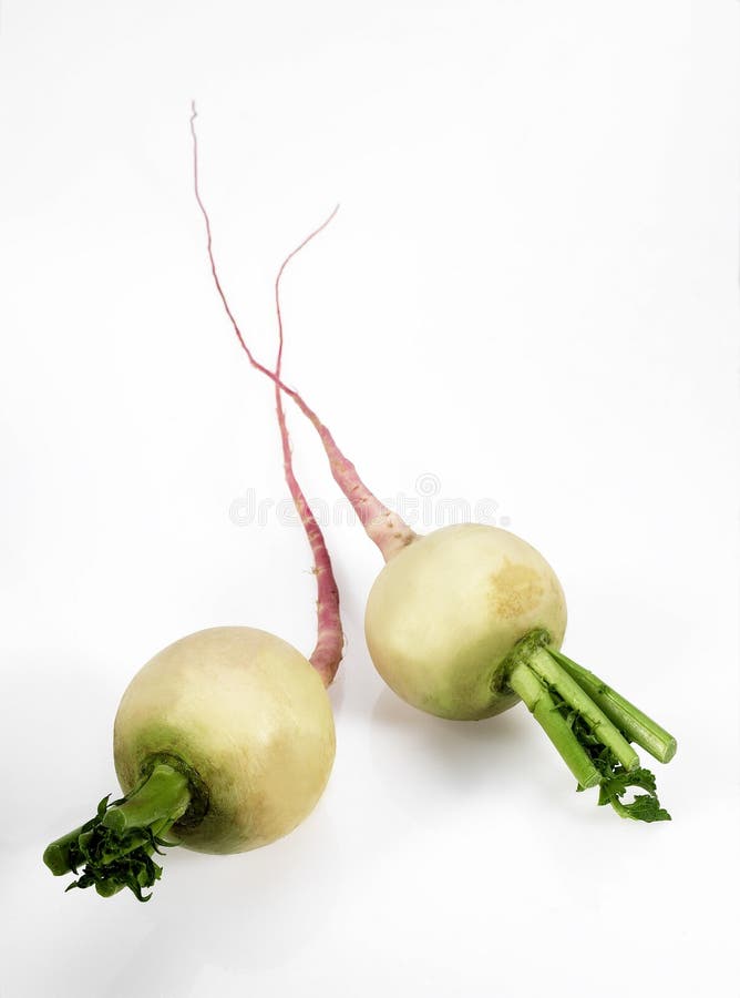 Navet stock photo. Image of turnip, ingredient, botany - 173365528