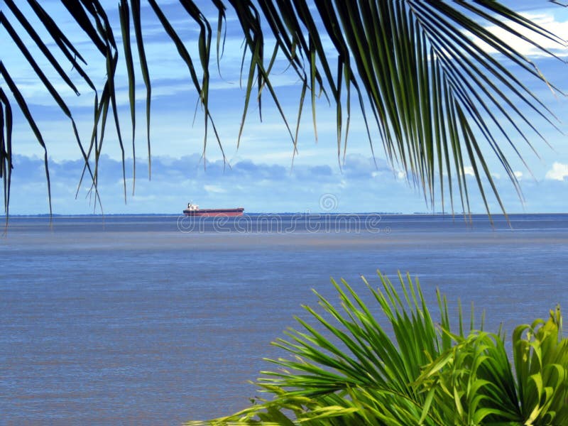Navigating the Amazon stock photo. Image of atmosphere - 218087118