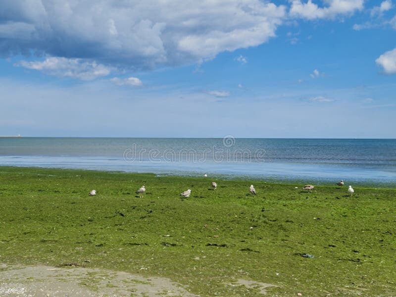 Navodari Beach on a Sunny Day.July 2021 Stock Photo - Image of cloud ...