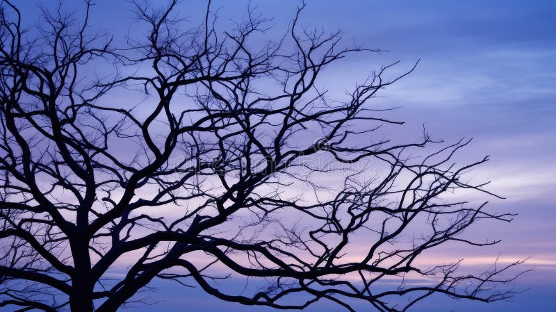 Navy blue branches stock illustration. Illustration of navy - 383572909