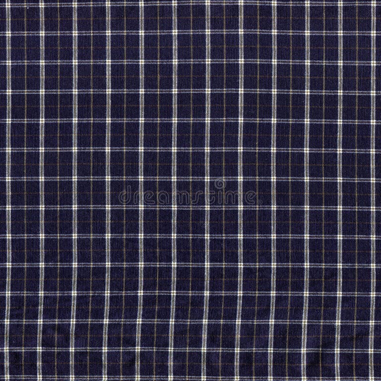 455 Navy Blue Gingham Fabric Stock Photos - Free & Royalty-Free Stock ...