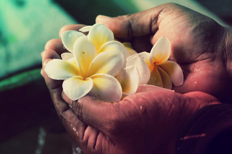 Nayan tara stock photo. Image of tara, nayan, innocence - 132835200